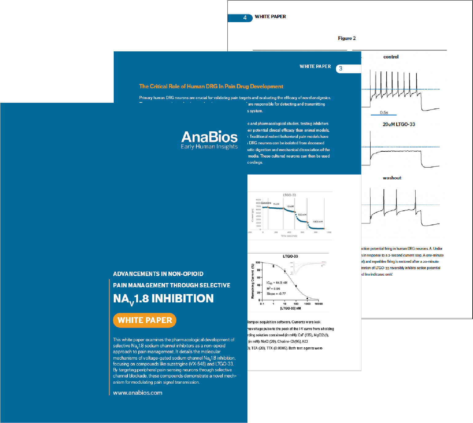 Functional Pain-Related Assays Using Human Tissue Samples | AnaBios