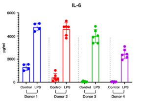 Human Precision-Cut Lung Slices | AnaBios