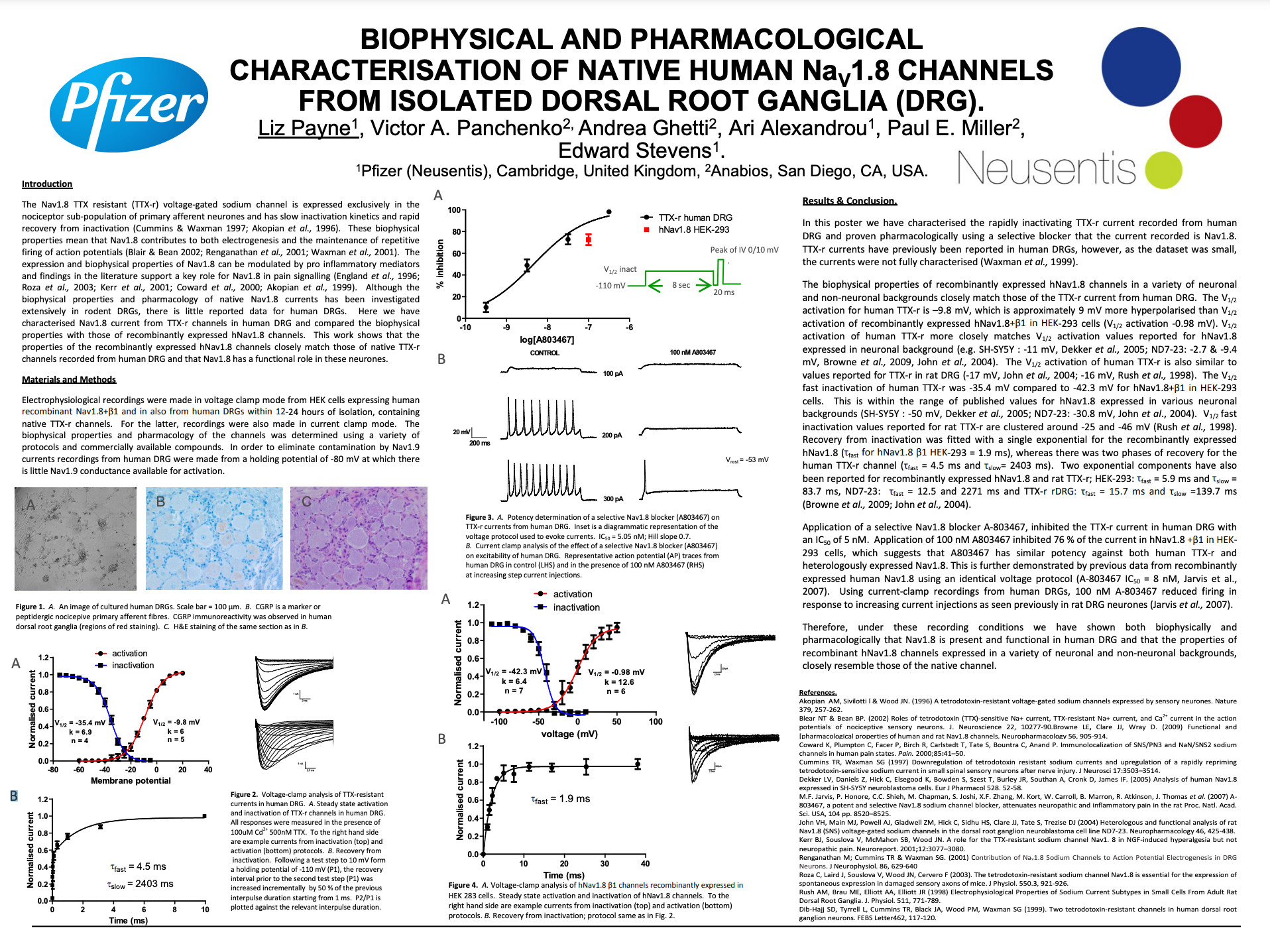 Pain Research Posters & Publications - AnaBios