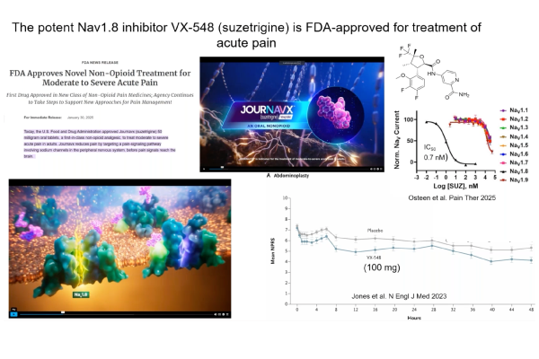 Bruce Bean Webinar Stream Form Page - AnaBios